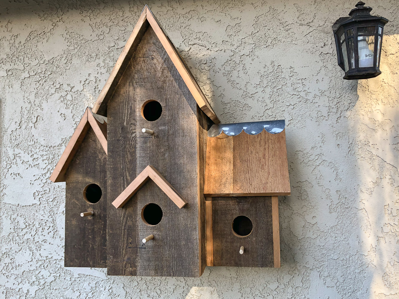 About – Morro Bay Birdhouse